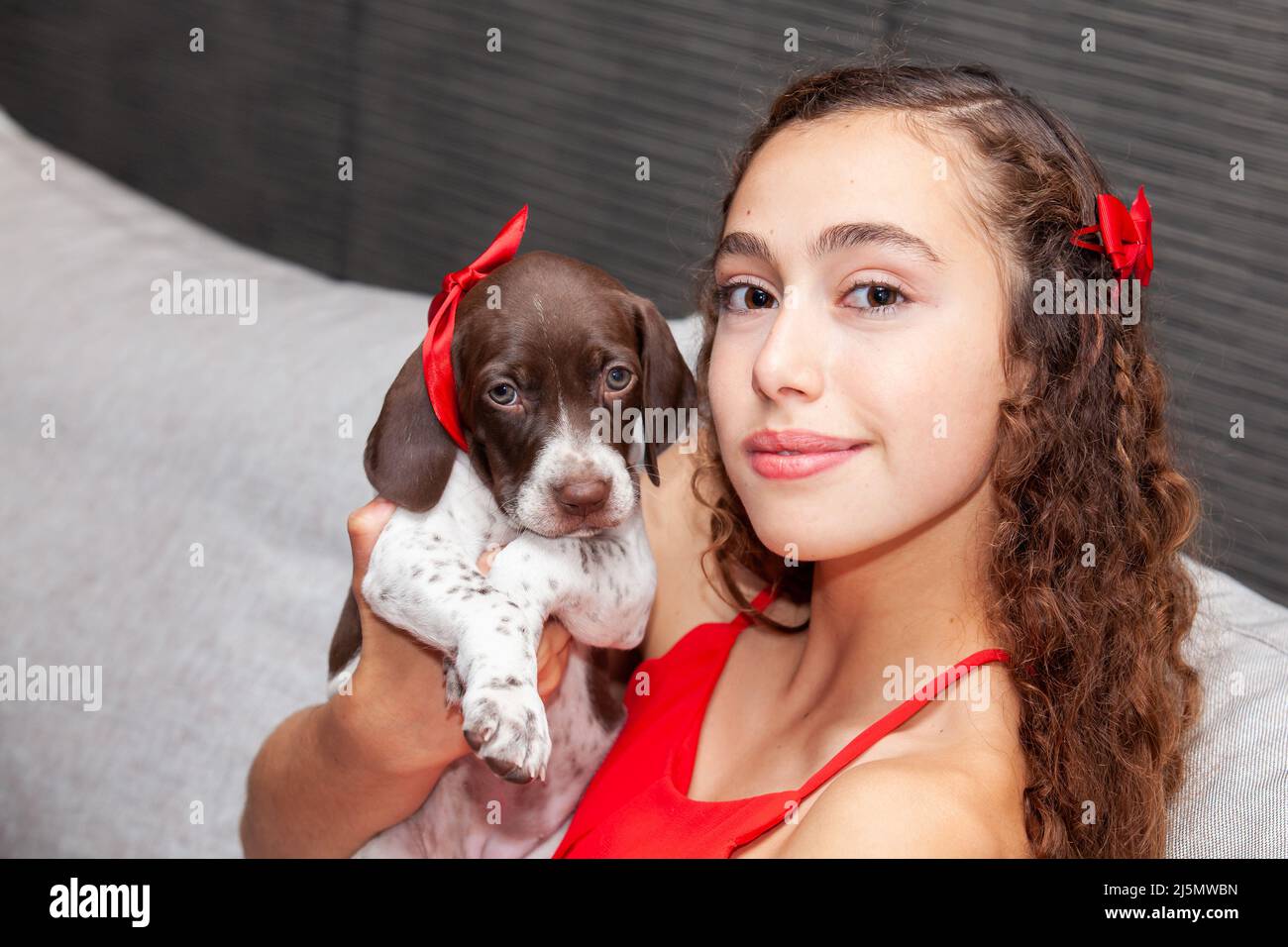 Beautiful young girl dressed in red with her small French Braque puppy ...