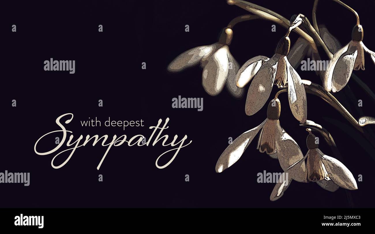Condolence card with snowdrops illustration isolated on black ...