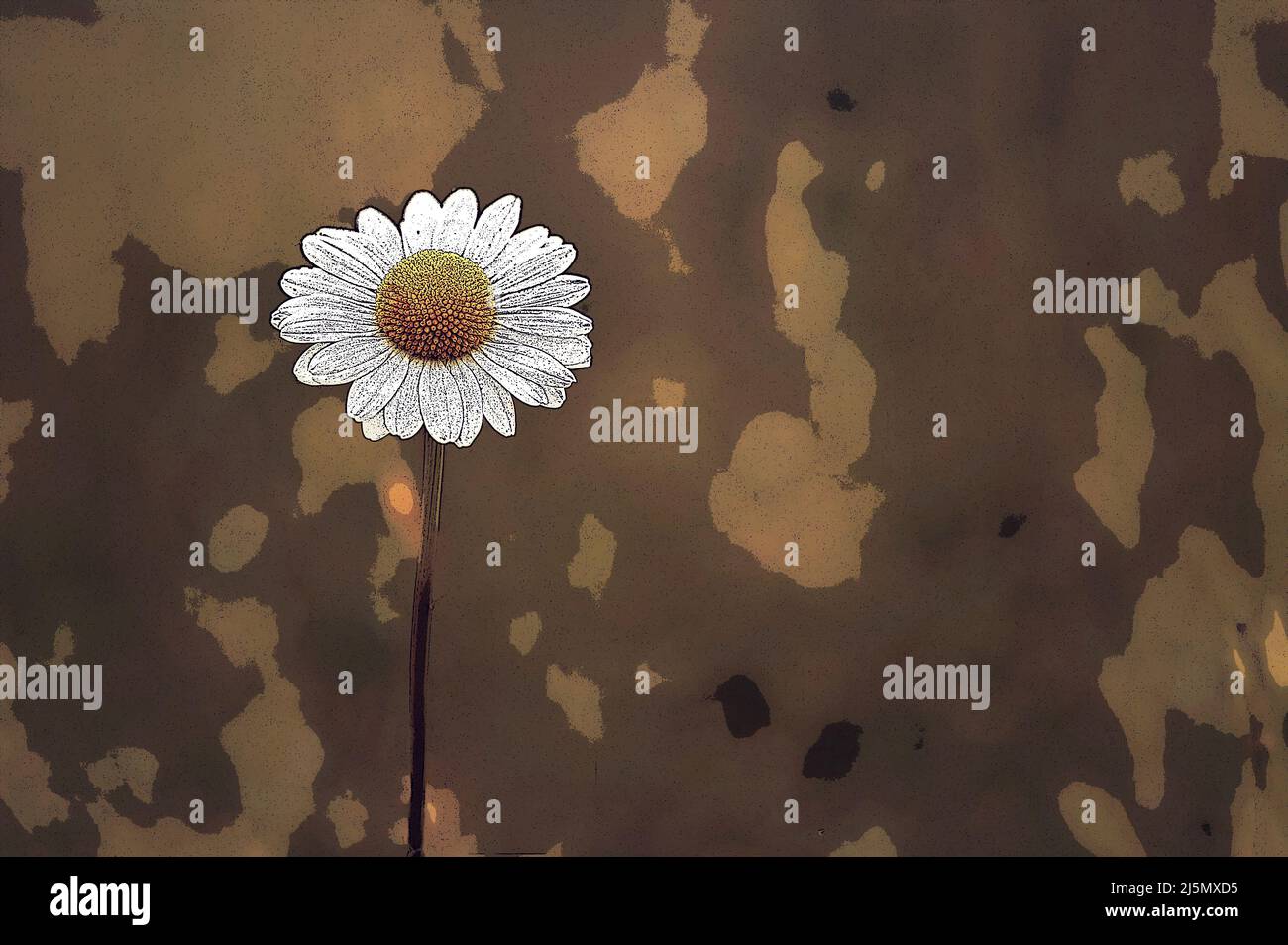 Daisy flower illustration on brown background Stock Photo - Alamy
