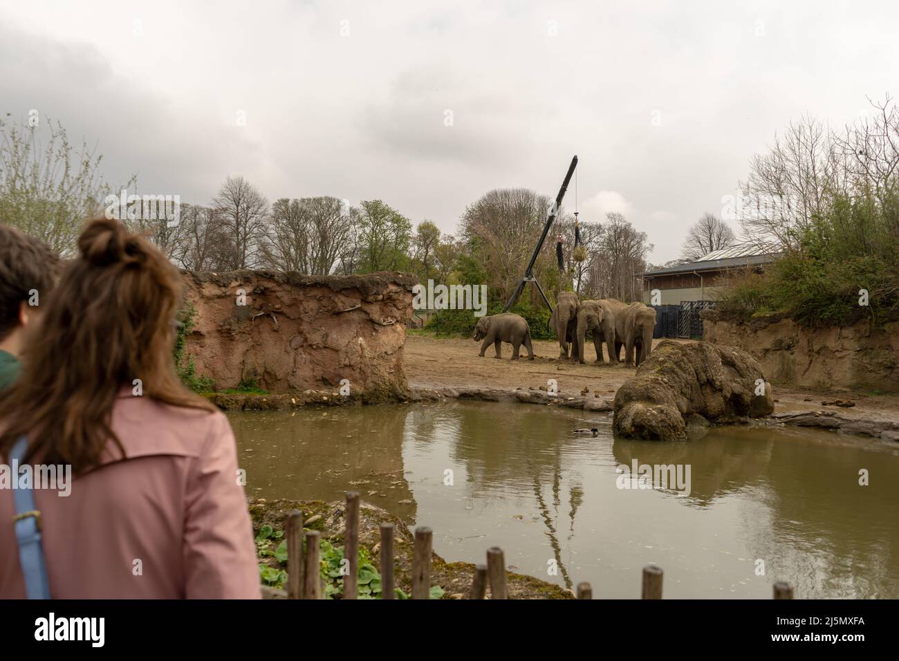 Dublin / Ireland: Dublin Zoo animals in captivity Stock Photo - Alamy