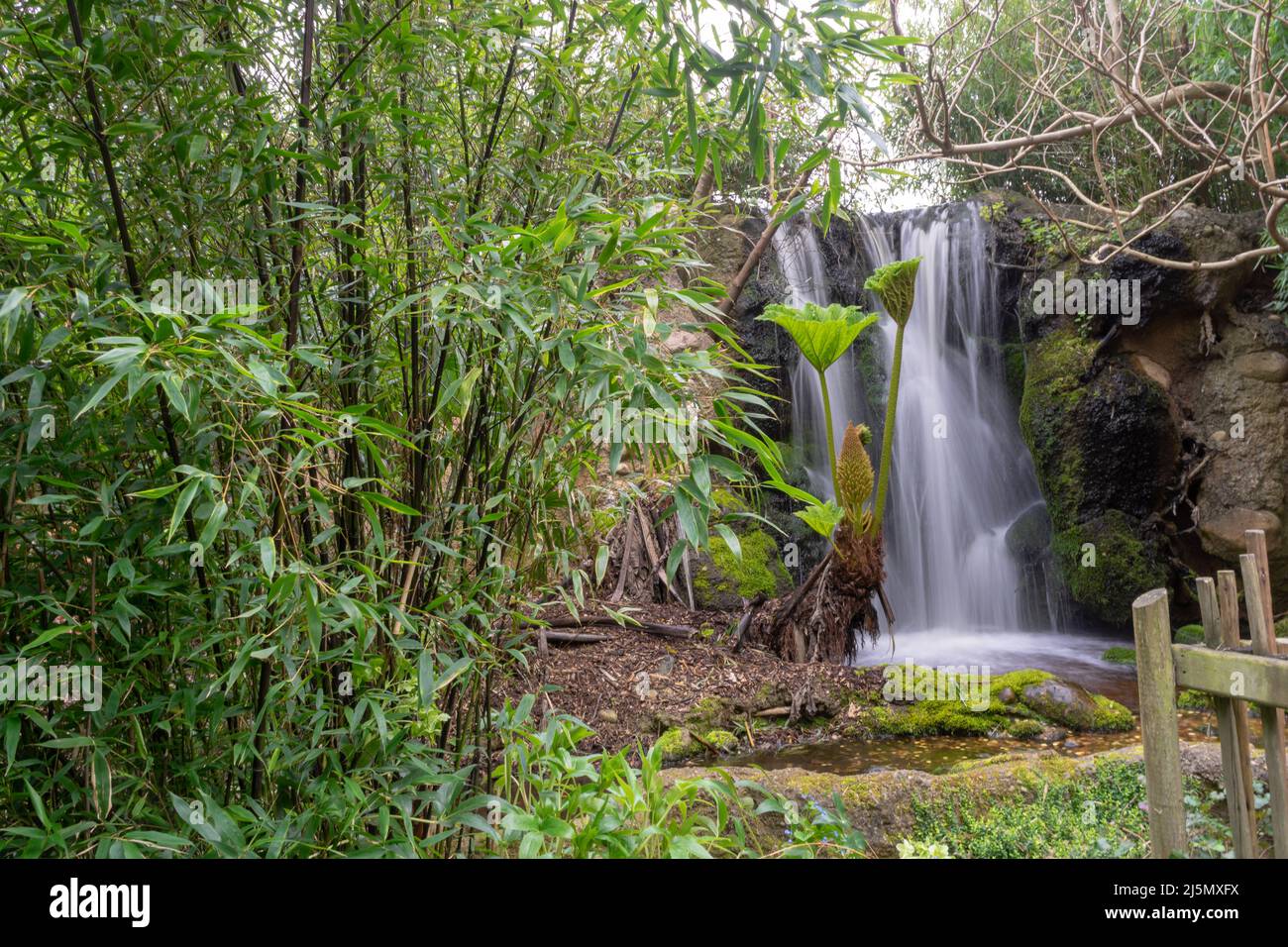 Dublin / Ireland: Dublin Zoo animals in captivity Stock Photo - Alamy
