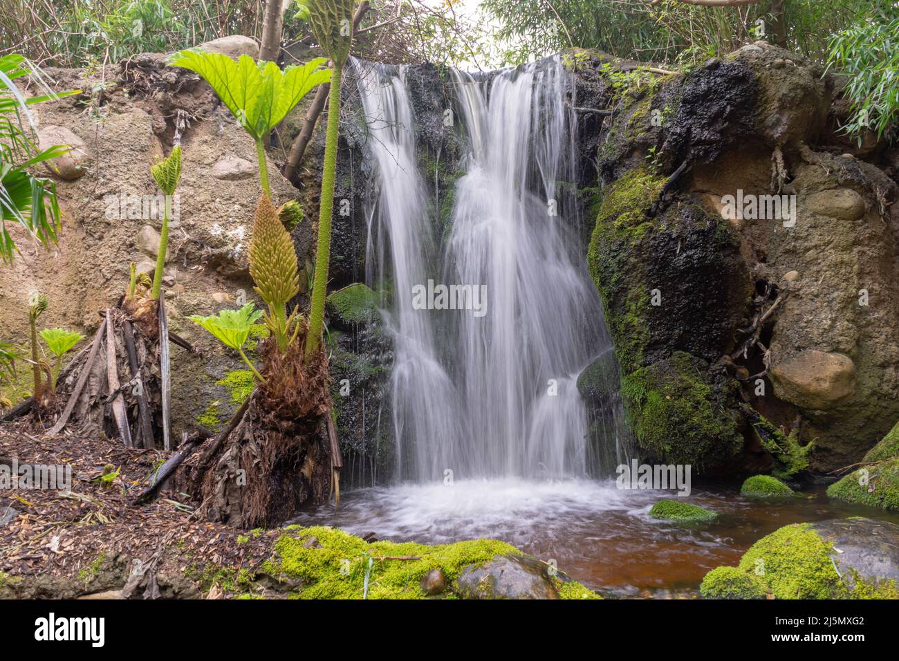 Dublin / Ireland: Dublin Zoo animals in captivity Stock Photo - Alamy