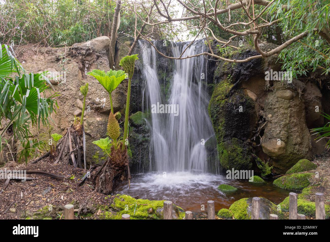 Dublin / Ireland: Dublin Zoo animals in captivity Stock Photo - Alamy