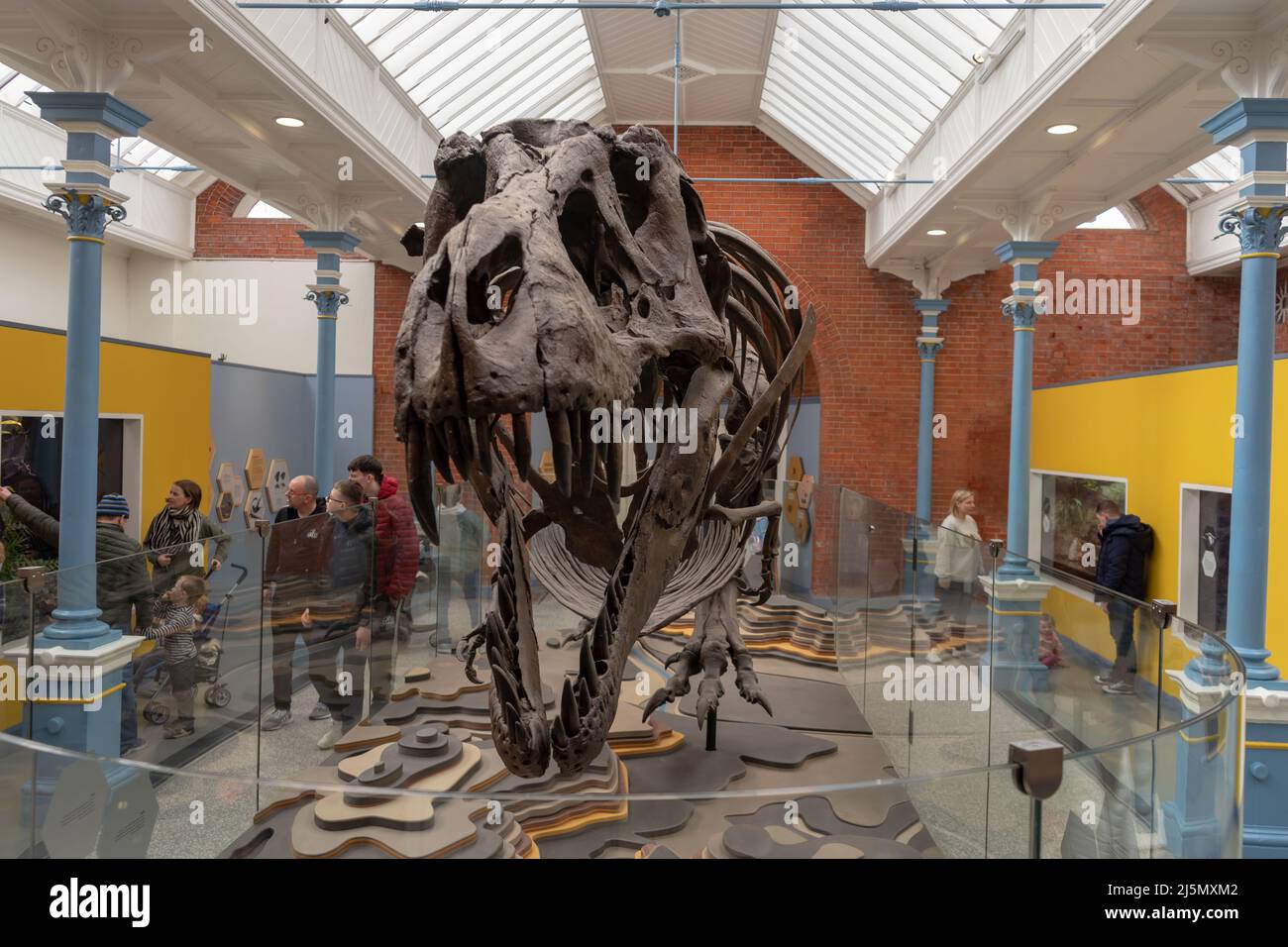 Dublin / Ireland: Dublin Zoo animals in captivity Stock Photo - Alamy
