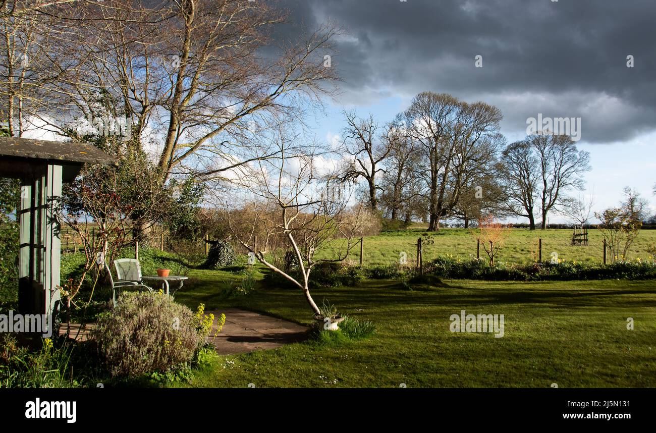 Early April evening sunlight in an English country garden Stock Photo ...