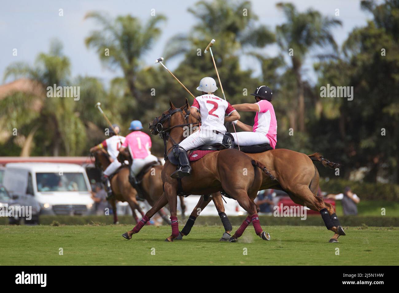 Polo 2022 hi-res stock photography and images - Alamy