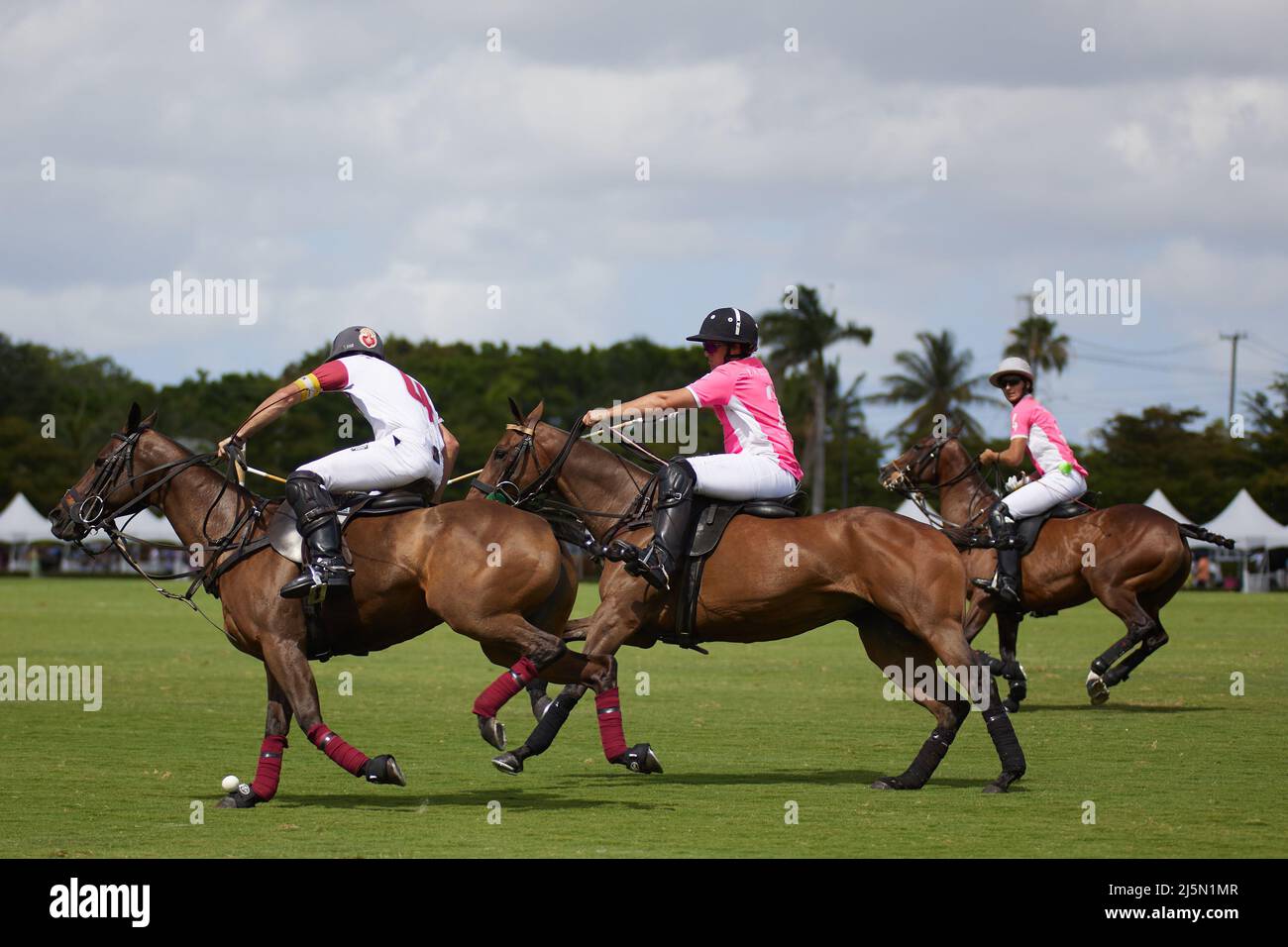 Matias torres zavaleta hi-res stock photography and images - Alamy