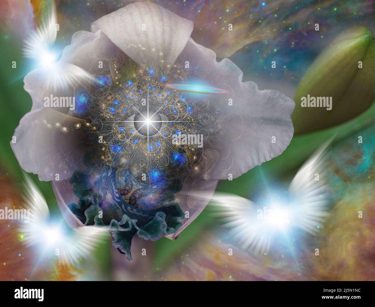 Angelic beings hi-res stock photography and images - Alamy