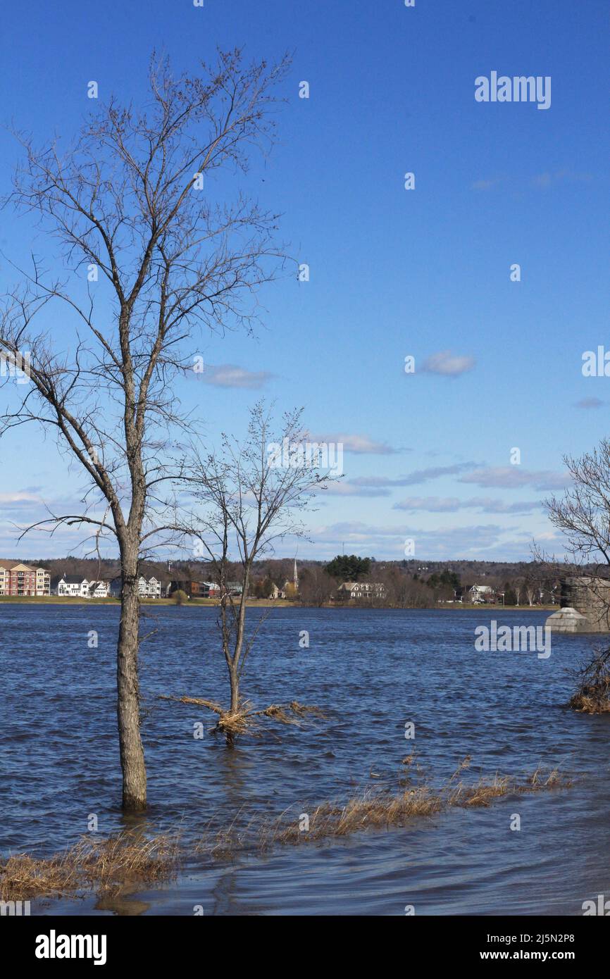 landscape in new brunswick canada Stock Photo - Alamy