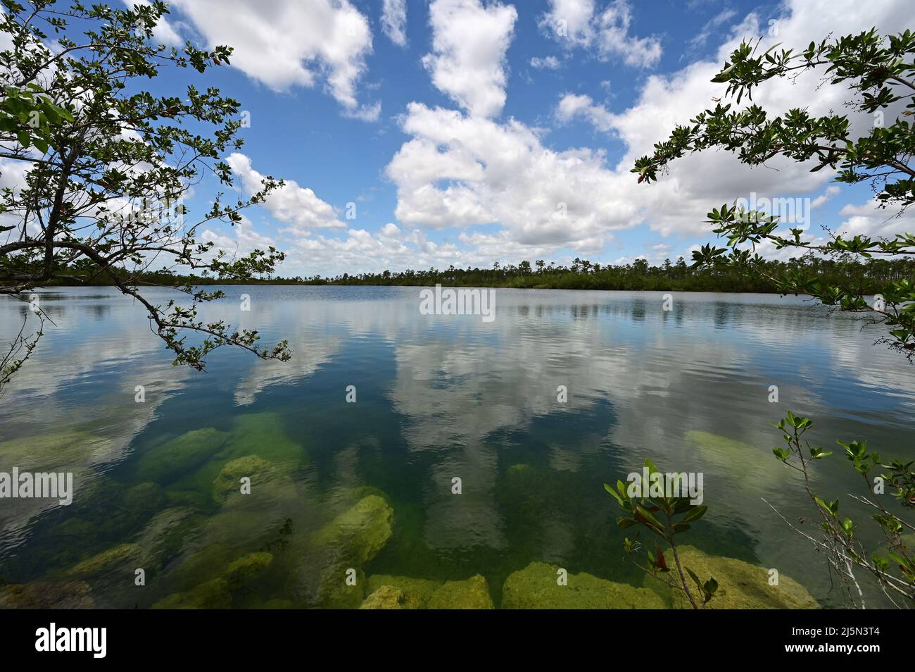 Submerged boulders along shore of Pine Glades Lake in Everglades ...