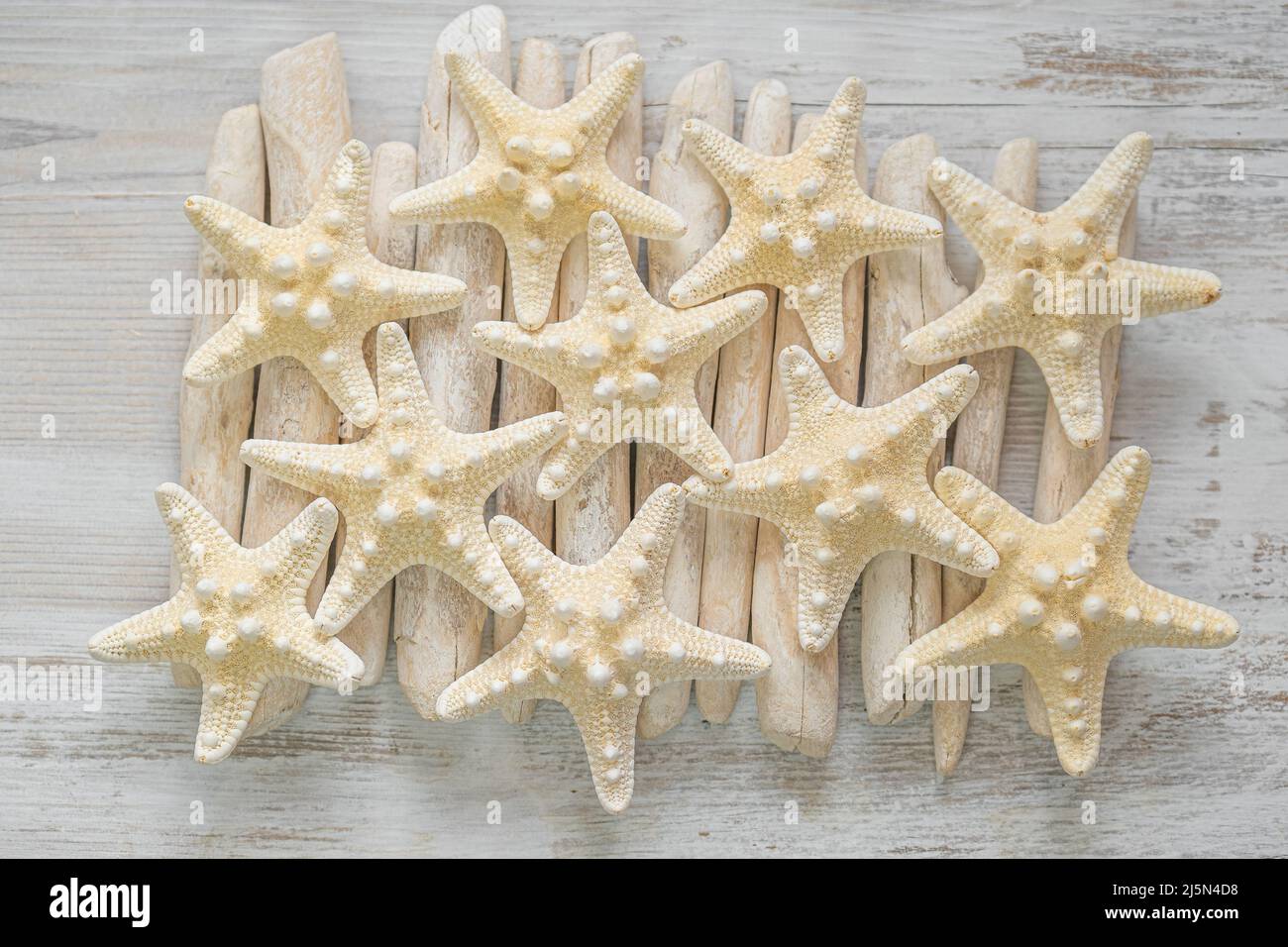 Marine summer Wallpaper. beige starfish on driftwood sticks on white ...