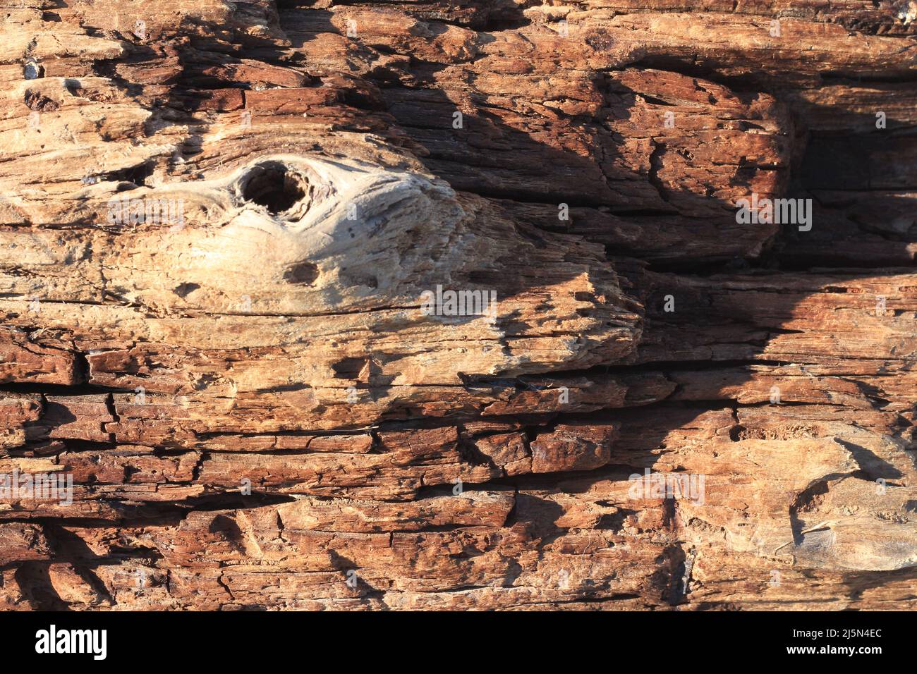 Decaying wood texture hi-res stock photography and images - Alamy