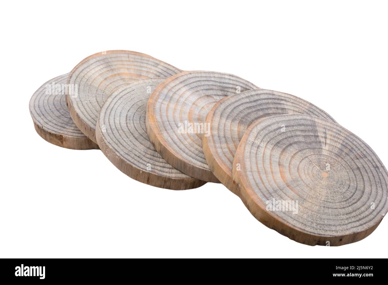 isolated round piece of wood in cross section with a pattern of wood ...