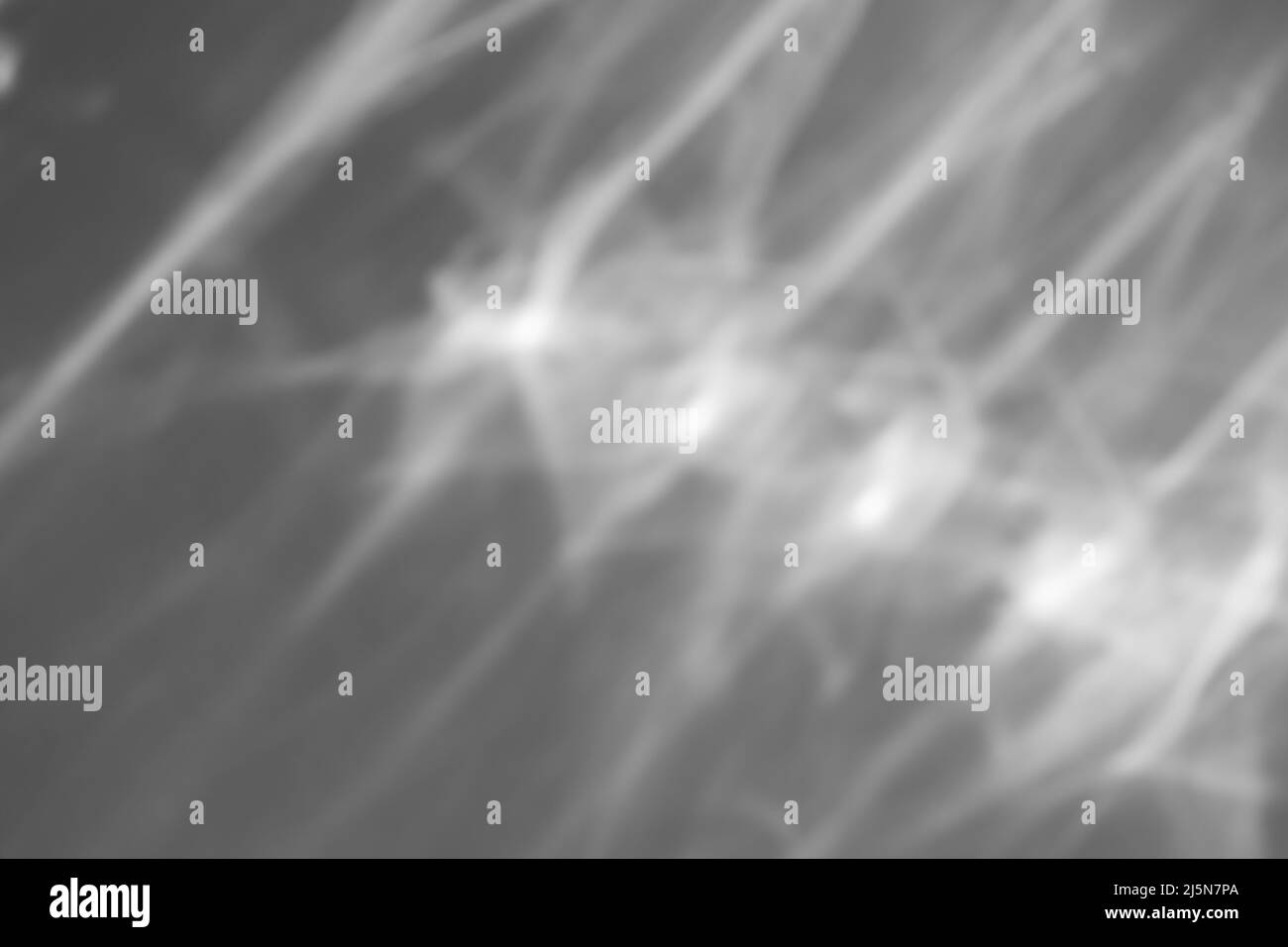 Underwater photography sun light Black and White Stock Photos & Images ...