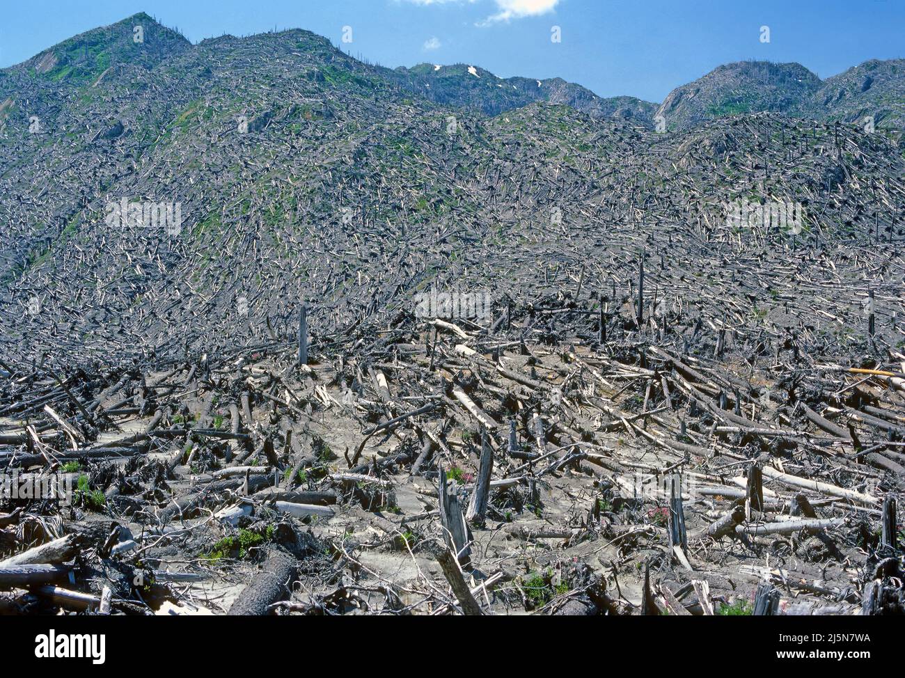 Devastation at Mt St Helens After the 1980 Eruption in Washington Stock ...