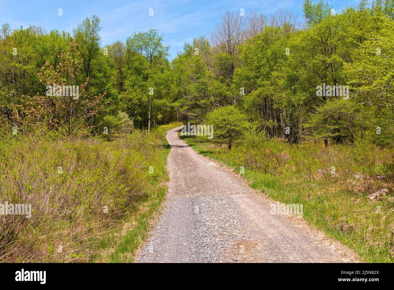 Rural Road in the Canaan Valley National Wildlife Refuge near Davis ...