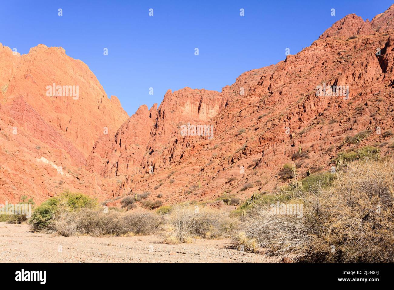 Bolivian canyon near Tupiza,Bolivia.Quebrada de Palmira,Canyon del Inca ...
