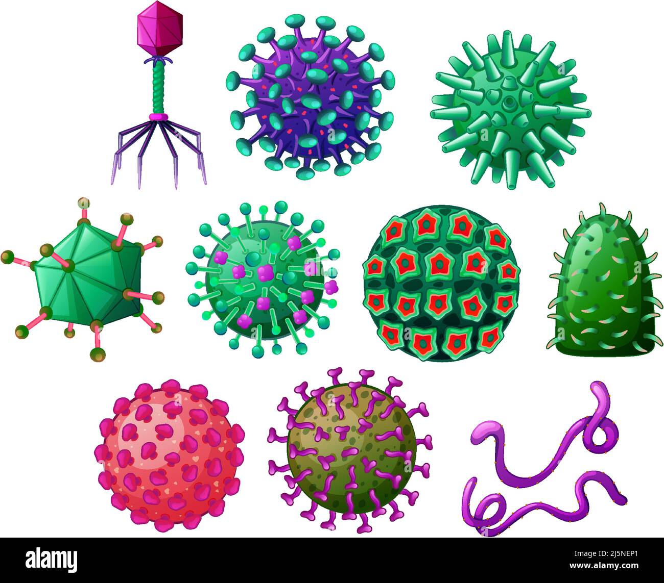 Different shapes of viruses illustration Stock Vector Image & Art - Alamy