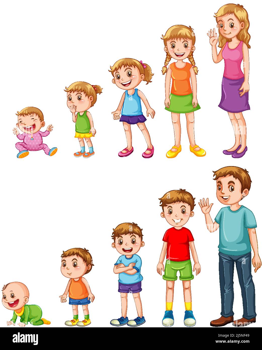 Boys and girls growing up illustration Stock Vector Image & Art - Alamy