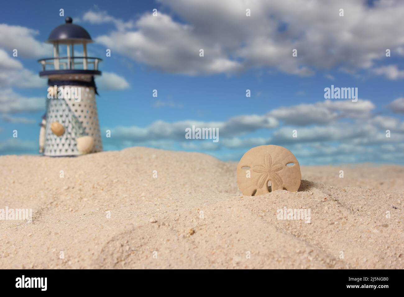The construction of seashell hi-res stock photography and images - Alamy