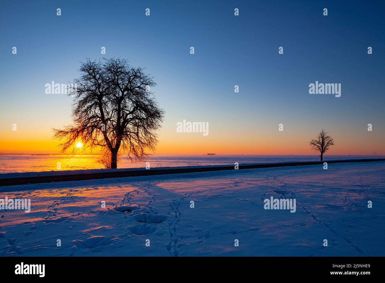 Empty road through snow-covered field after a blizzard at sunset. Clear ...
