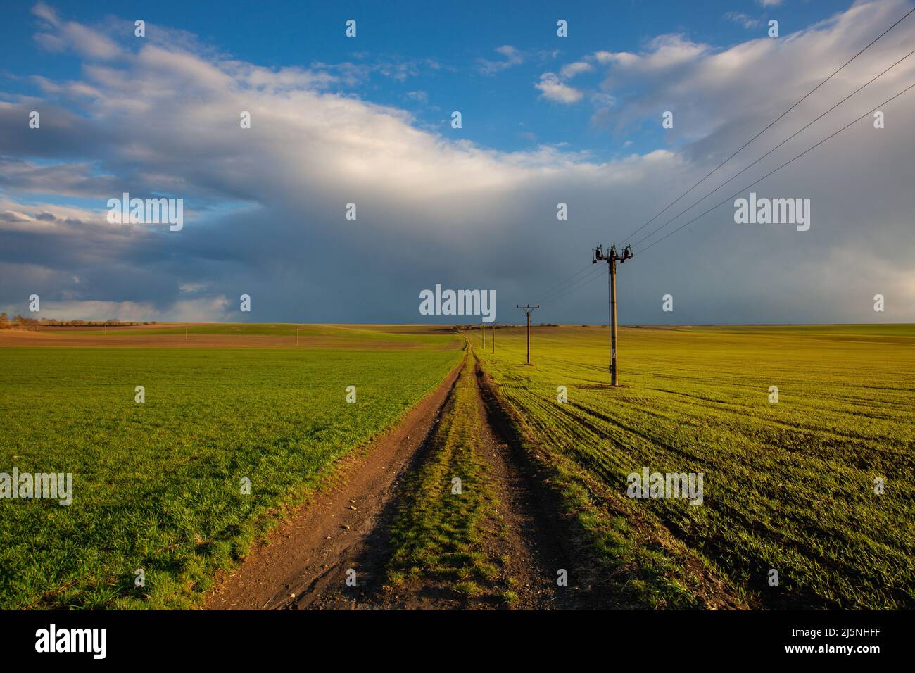 Muddy dirt road among fields afres heavy storm. Spring field before ...