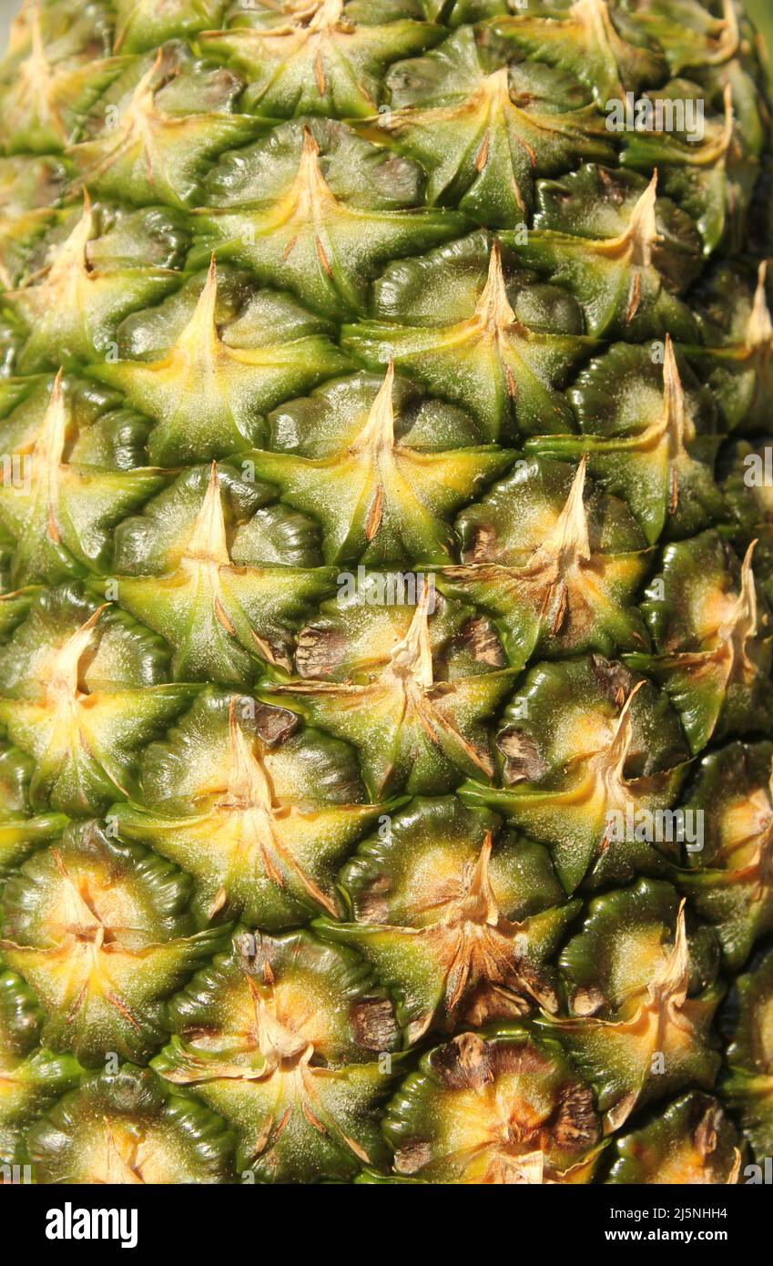 Pineapple skin hi-res stock photography and images - Alamy