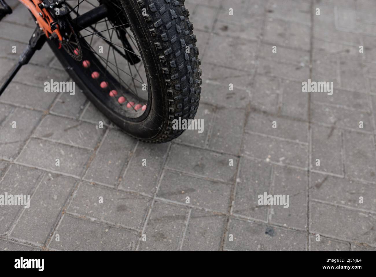 wide bicycle wheel on the sidewalk. ecological transport Stock Photo ...
