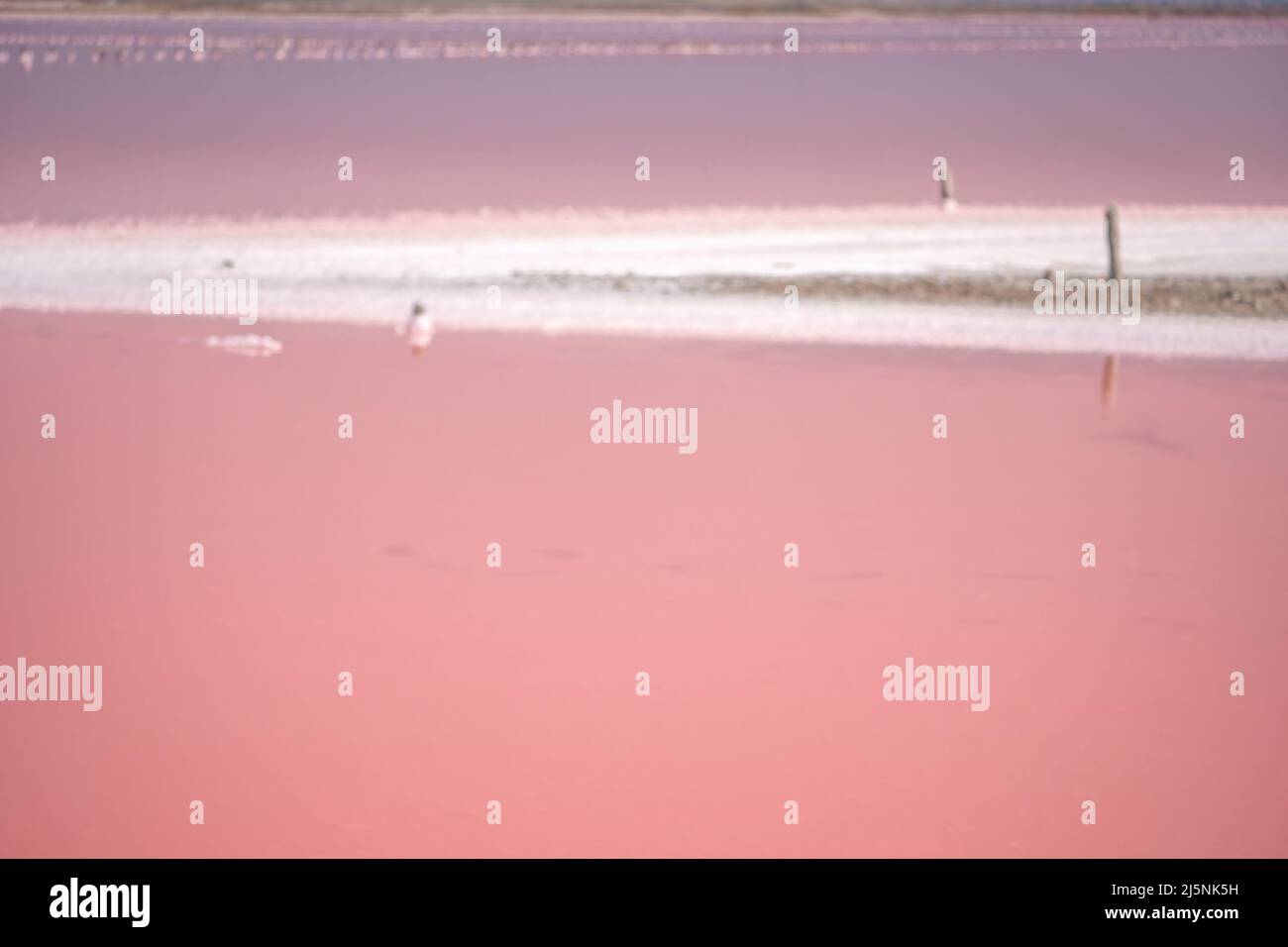 Pink salt crystals. Natural pink salt lake texture. Salt mining ...
