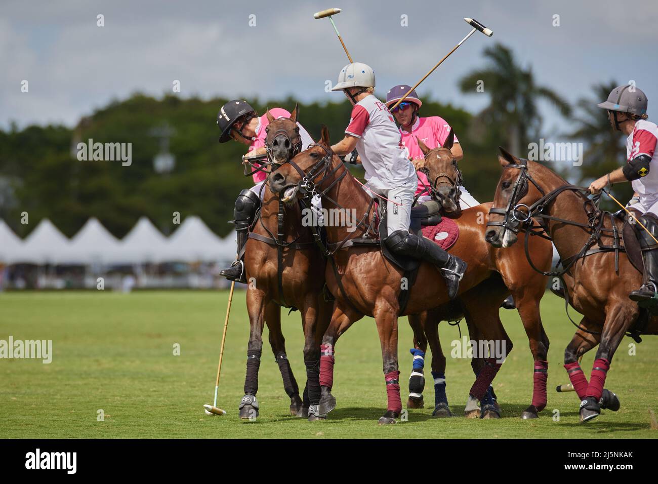 Wellington florida usa polo hi-res stock photography and images - Alamy
