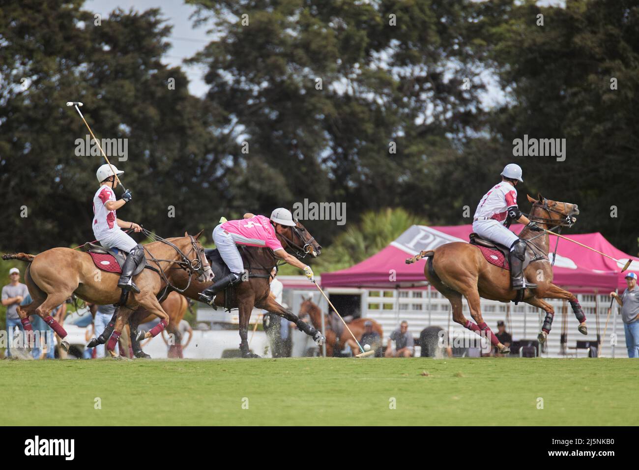 Us polo brand hi-res stock photography and images - Alamy