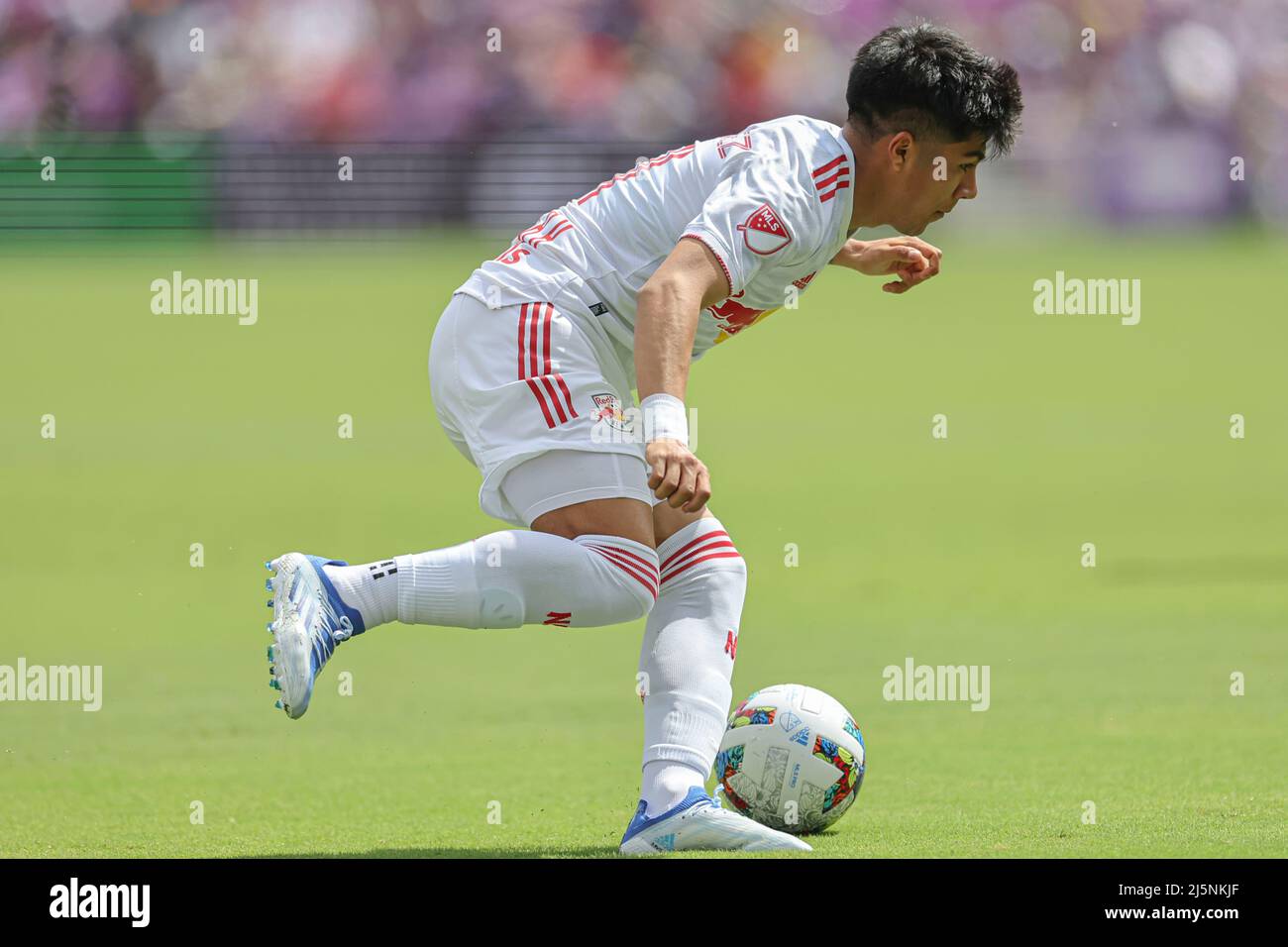 Red bulls hi-res stock photography and images - Alamy