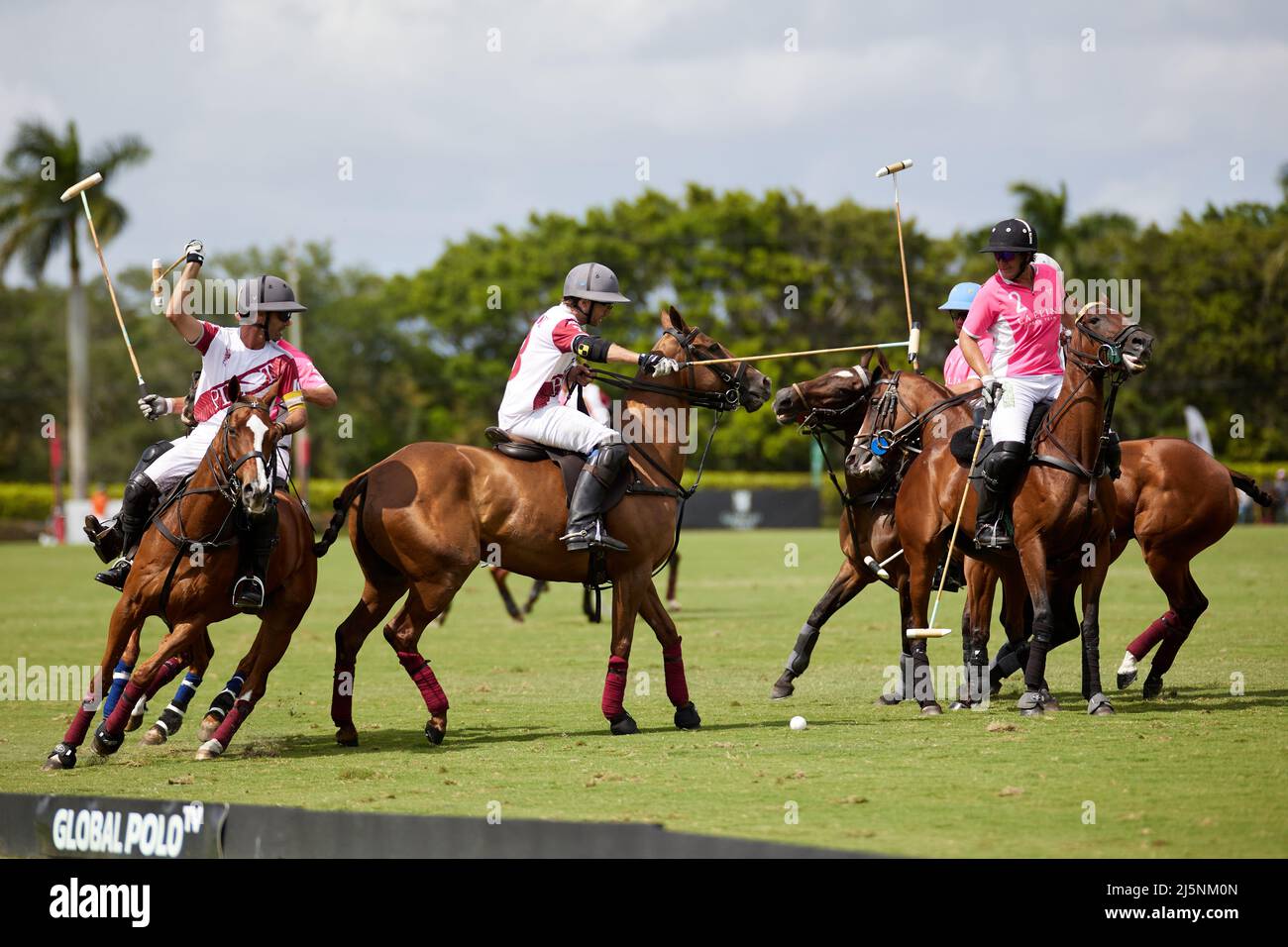 U s grand prix champion hi-res stock photography and images - Alamy