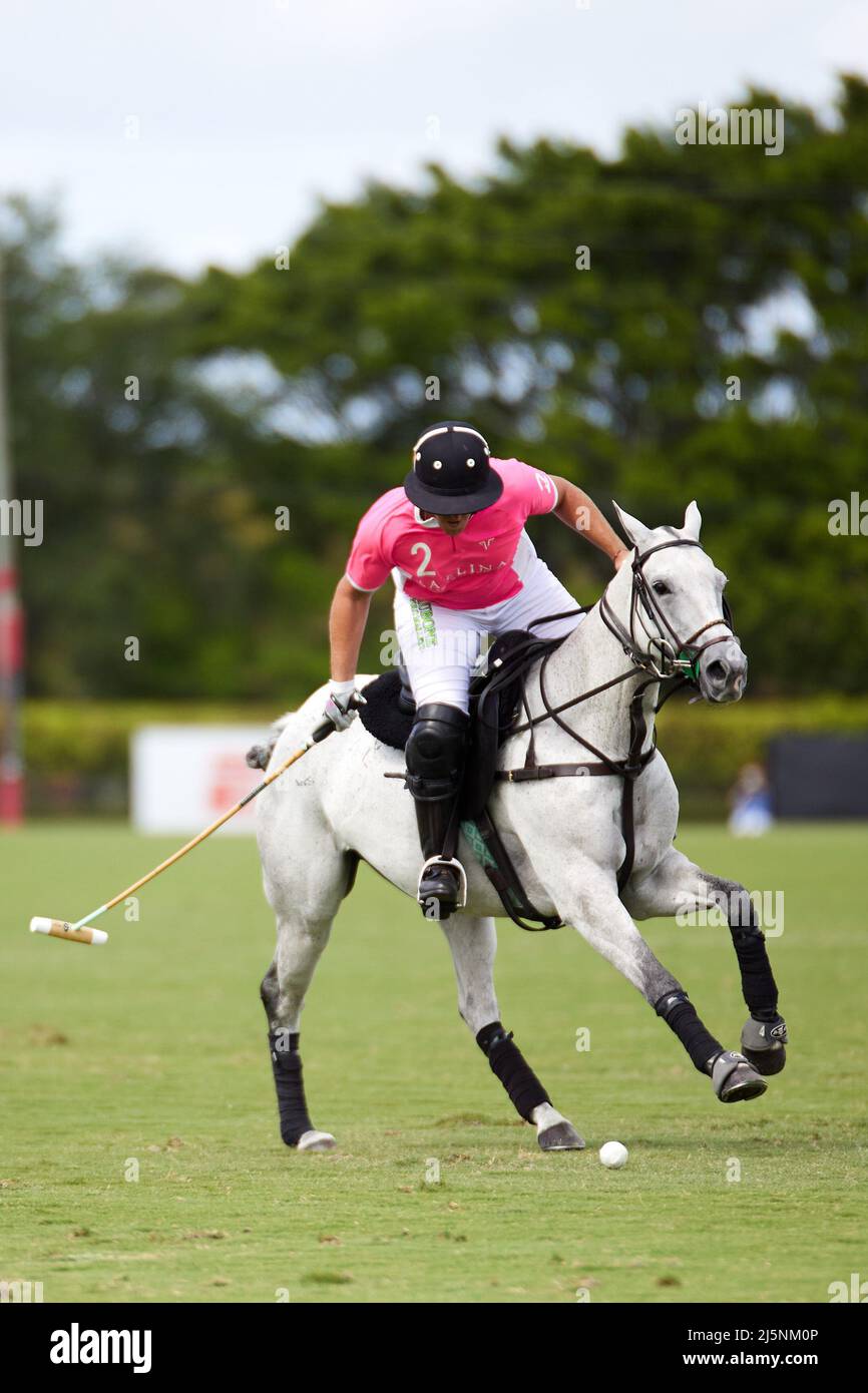 Final at The International Polo Club Palm Beach, Florida, USA ...
