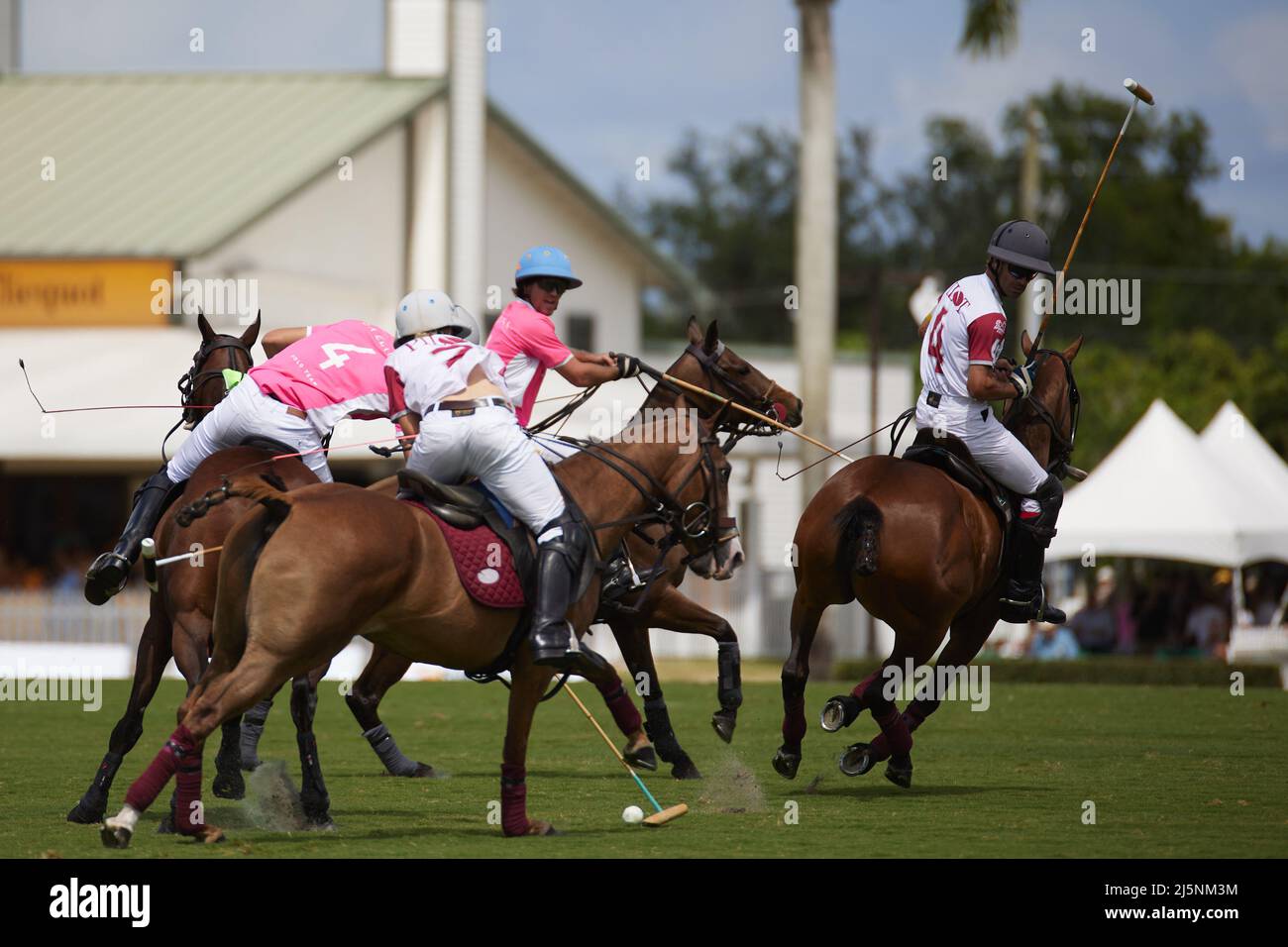 2 Mackie Weisz (L2) from Pilot Polo, and 4 Jared Zenni (L) from La ...