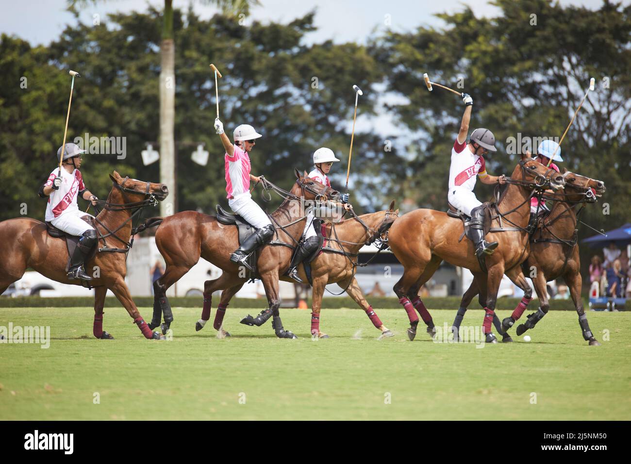 Pilot Polo vs La Elina Polo Team during U.S. Open Polo Championship ...