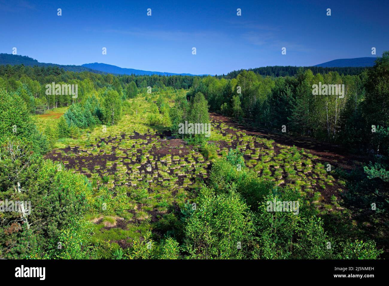 Typical landscape from Sumava national park in Czech Republic ...