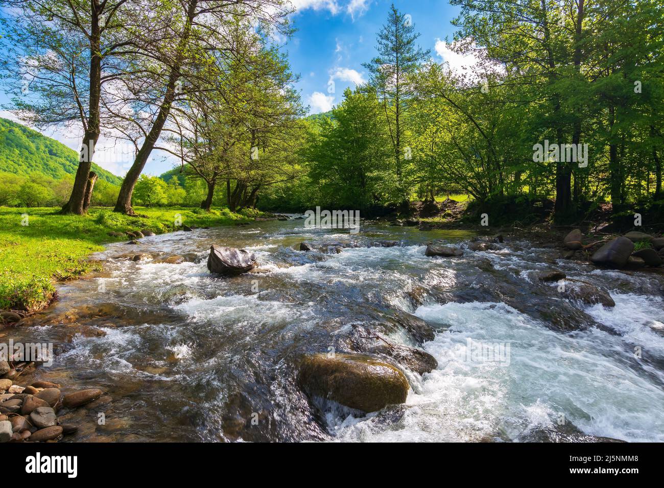 mountain river runs through the green valley. water flows along the ...