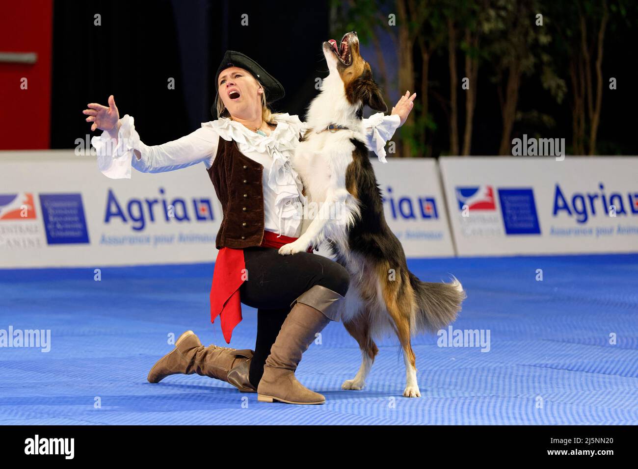 Canine Freestyle Dancing