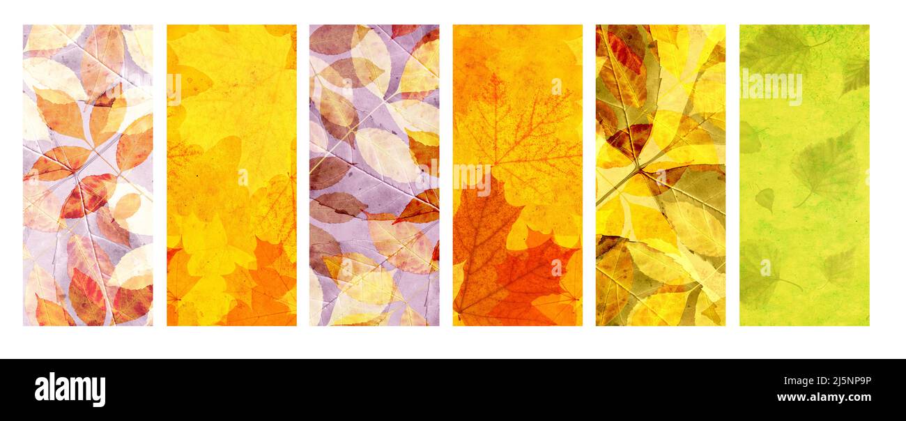 Set of vertical or horizontal vintage nature banners with autumn leaves ...