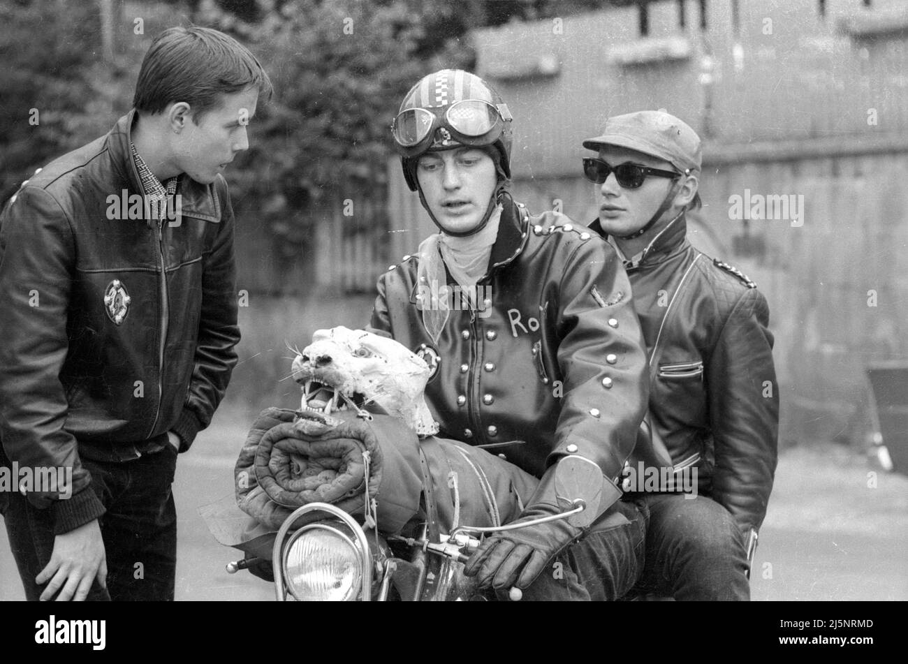 Members of the Red Devils, a youth gang in Nuremberg. The youngsters ...