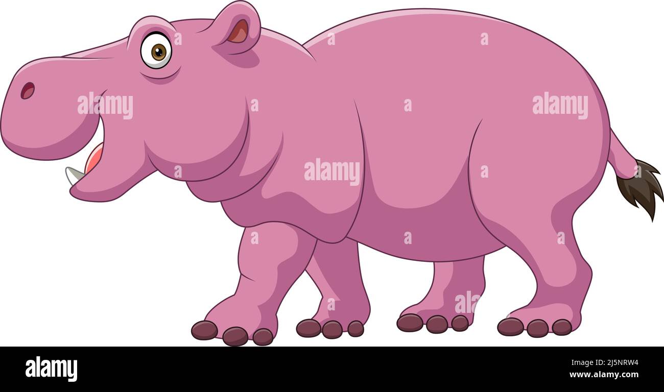 Cute hippo cartoon on white background Stock Vector Image & Art - Alamy
