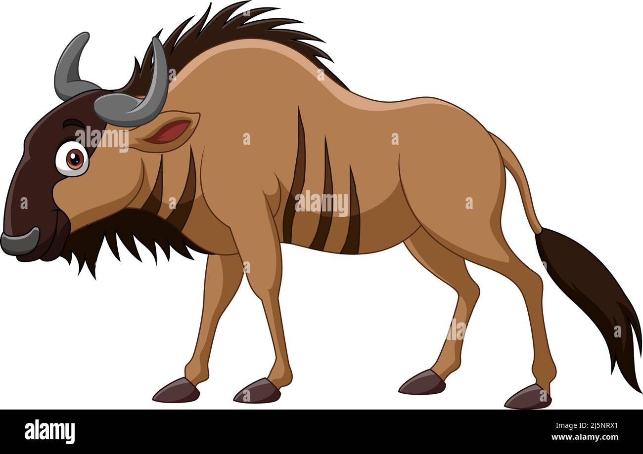 Cute wildebeest cartoon isolated on white background Stock Vector Image ...