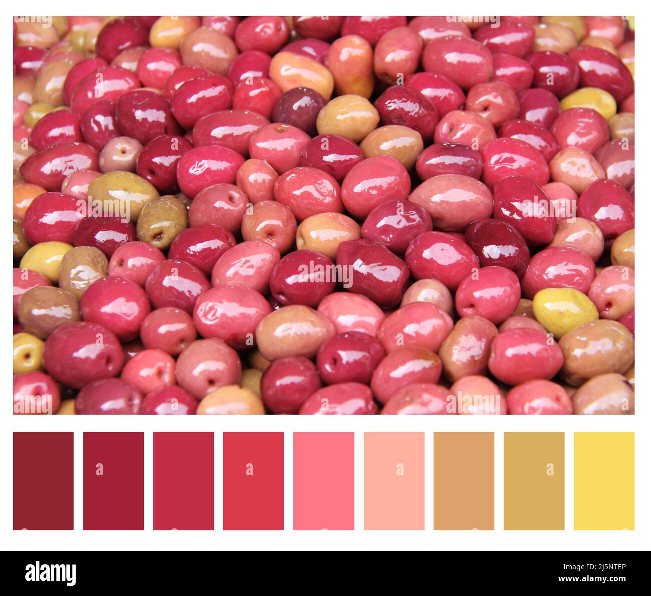 Color matching palette with complimentary colour swatches. Pickled ...