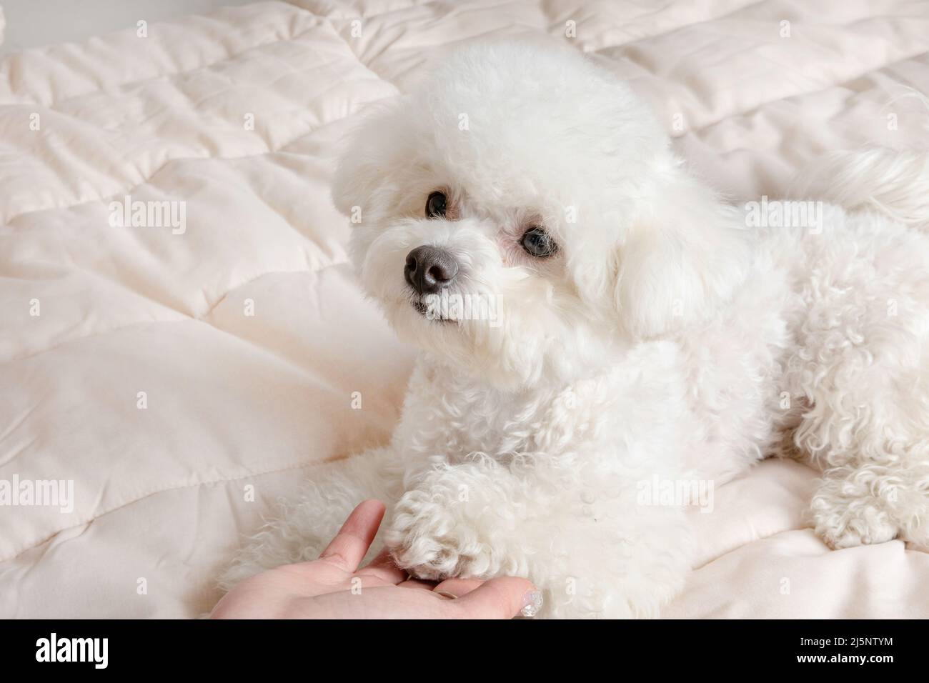 Reaching out bed hi-res stock photography and images - Alamy