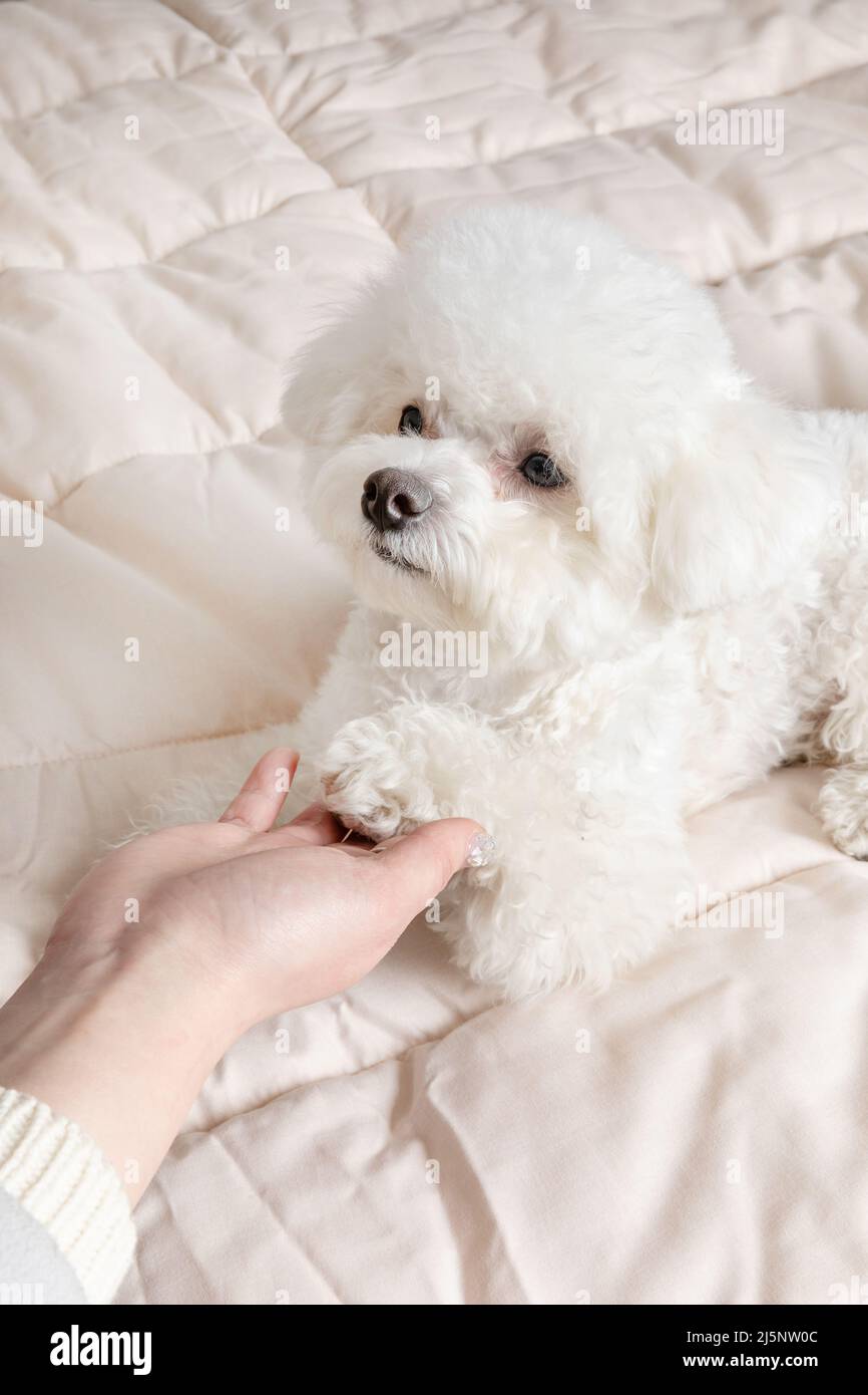 Reaching out bed hi-res stock photography and images - Alamy