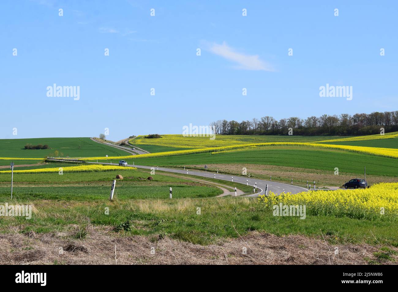 curvy road through yellow fields Stock Photo - Alamy