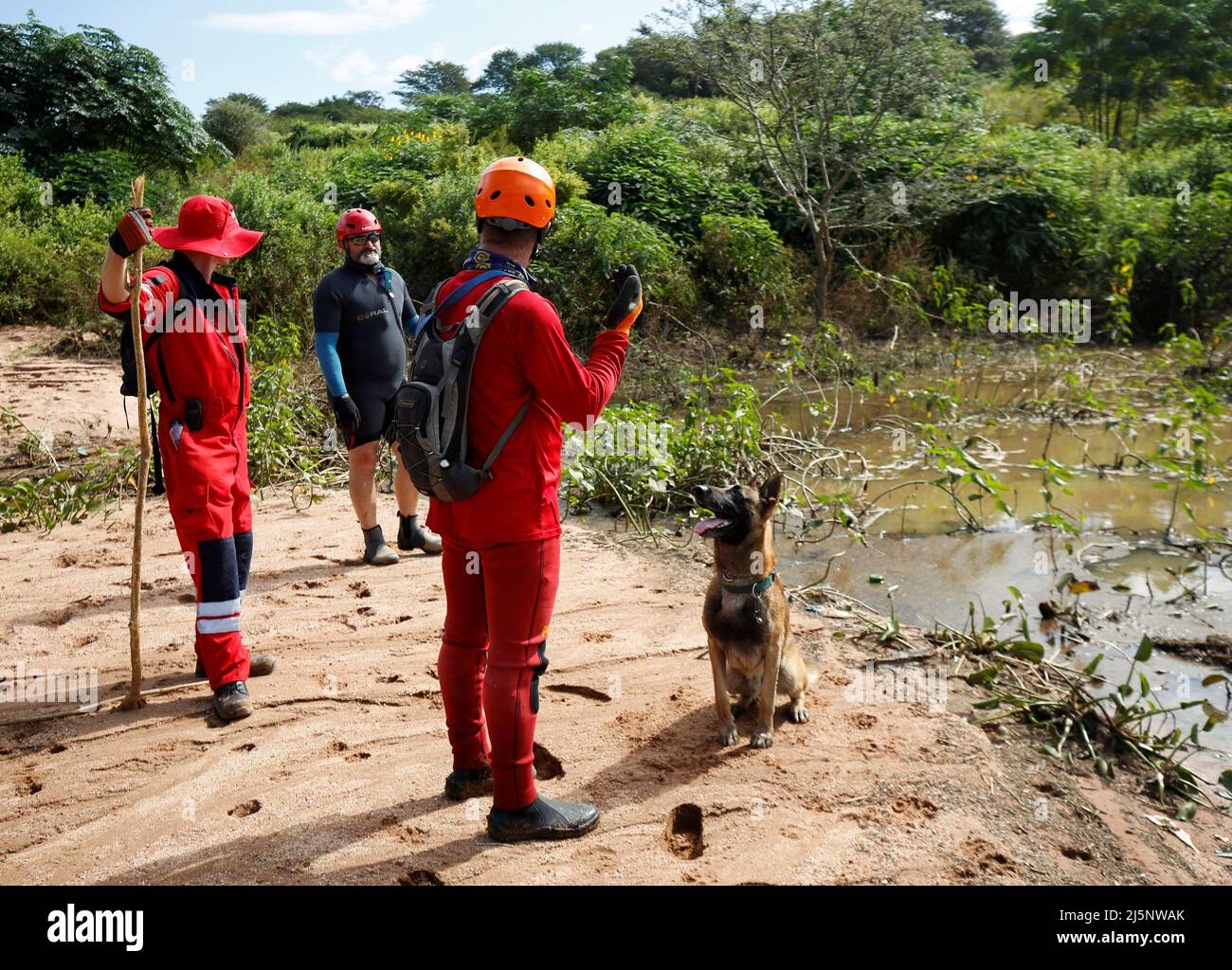 Tracking dog hi-res stock photography and images - Alamy