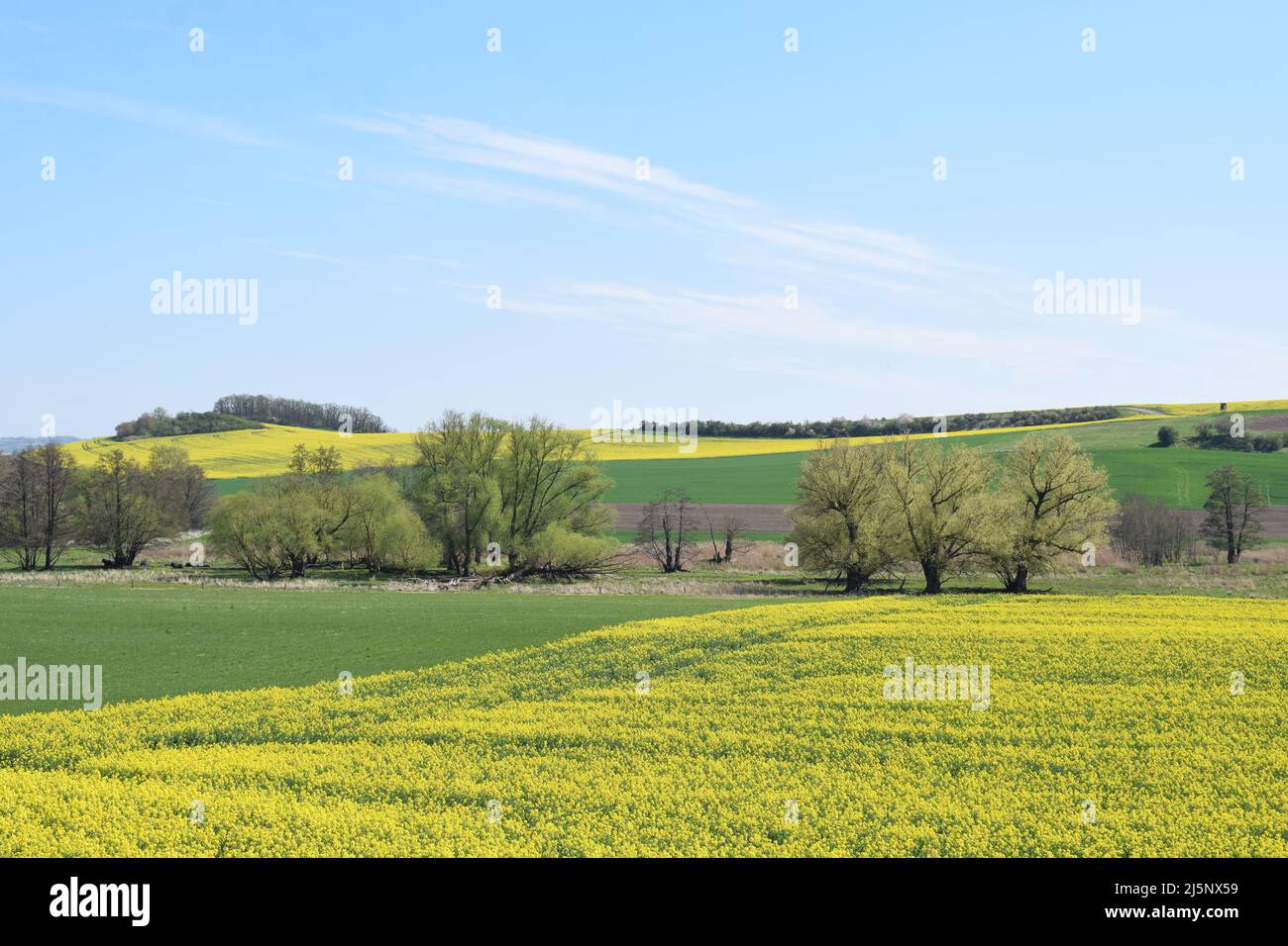 yellow fields around the swampland nature reserve Stock Photo - Alamy