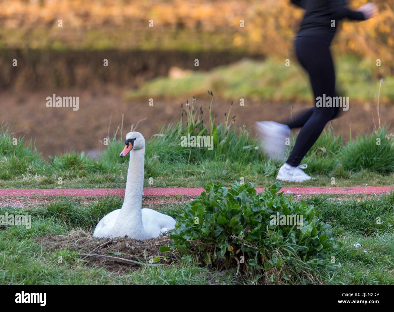 Carrigaline community complex hi-res stock photography and images - Alamy